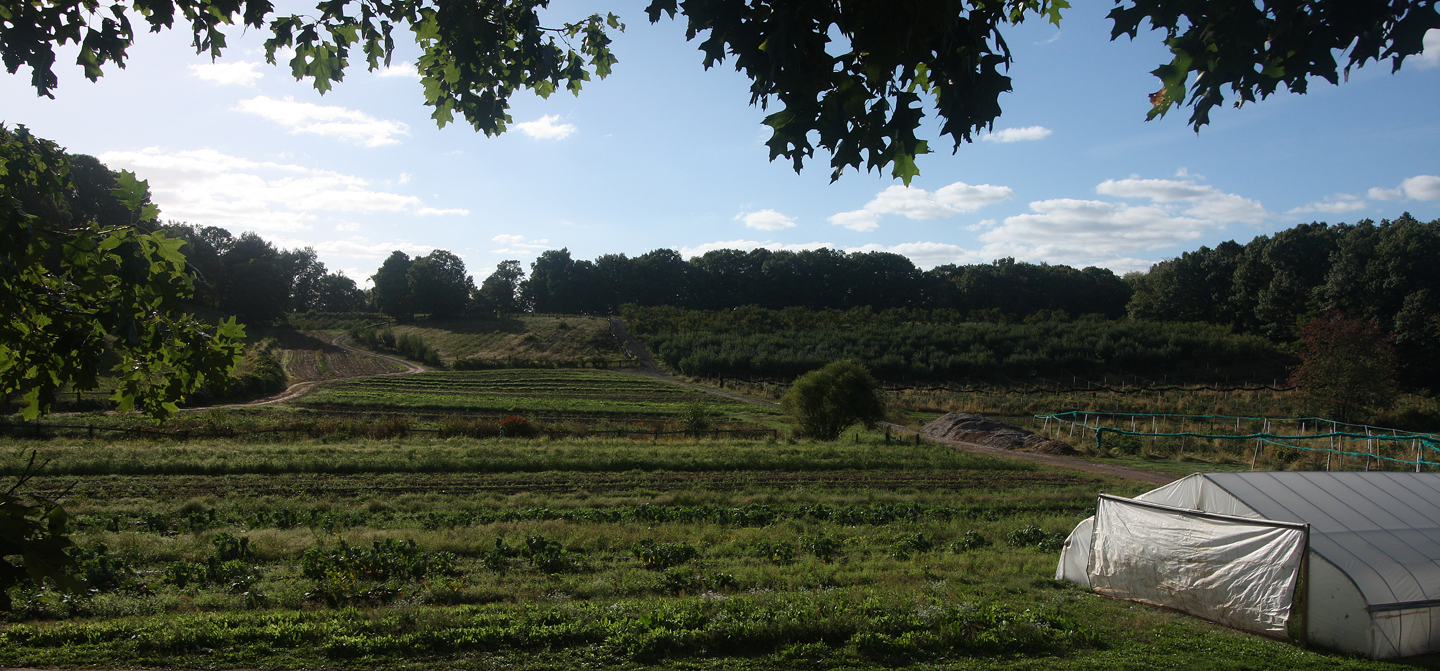 Beckett Farms, LLC – Glastonbury's IPM Farm